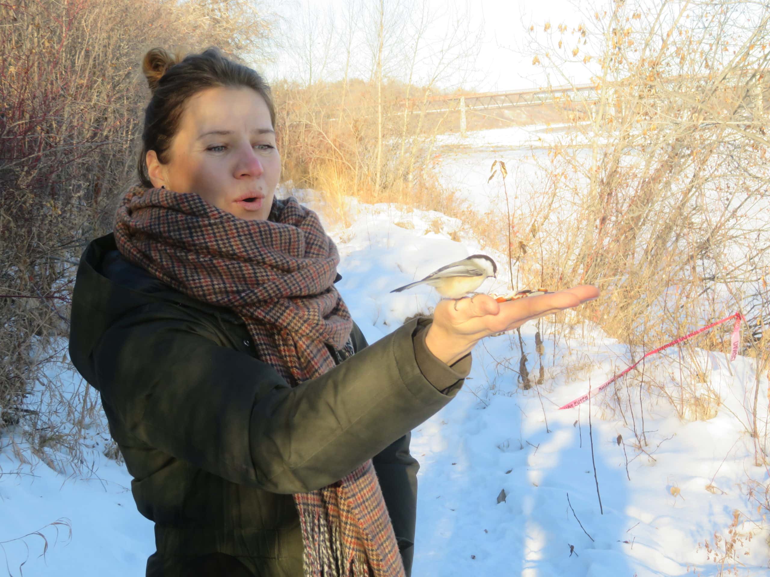 Chickadee grace | Christian Courier