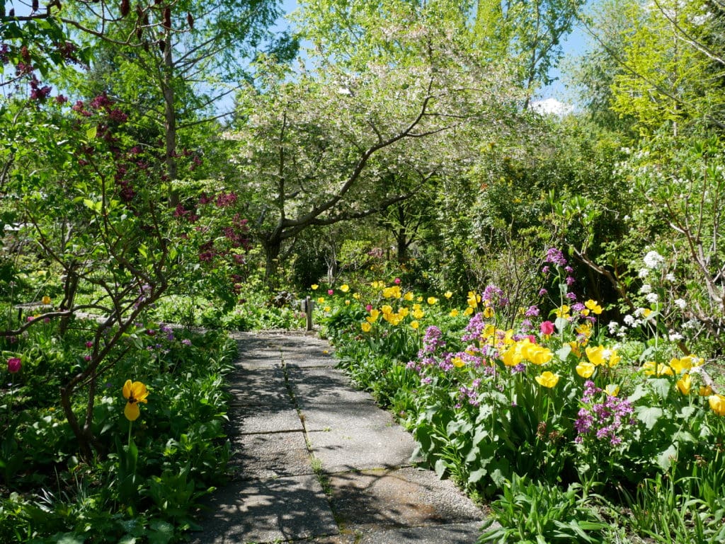 A well-planted life | Christian Courier