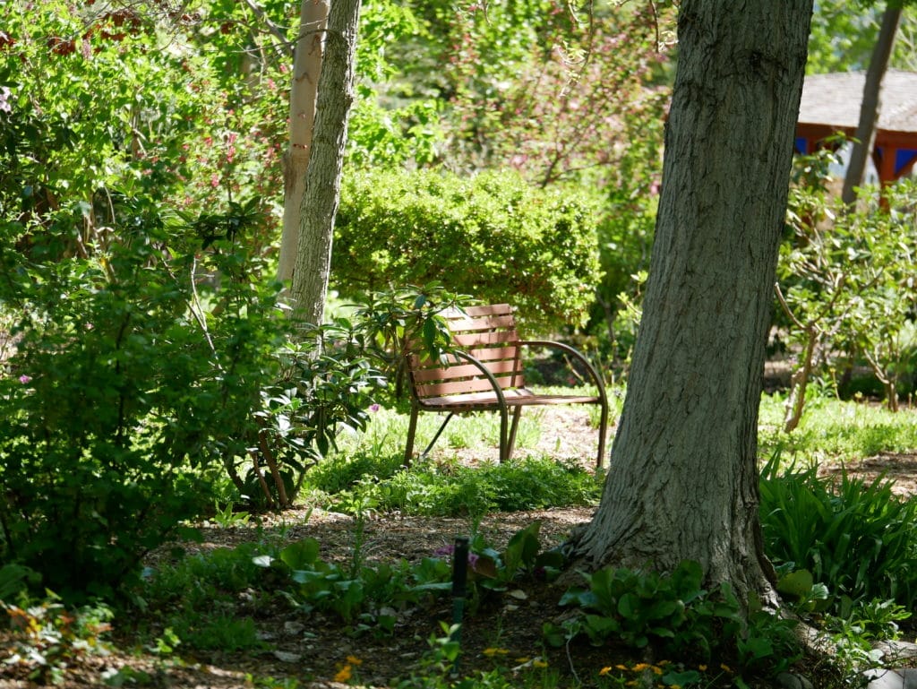 A well-planted life | Christian Courier