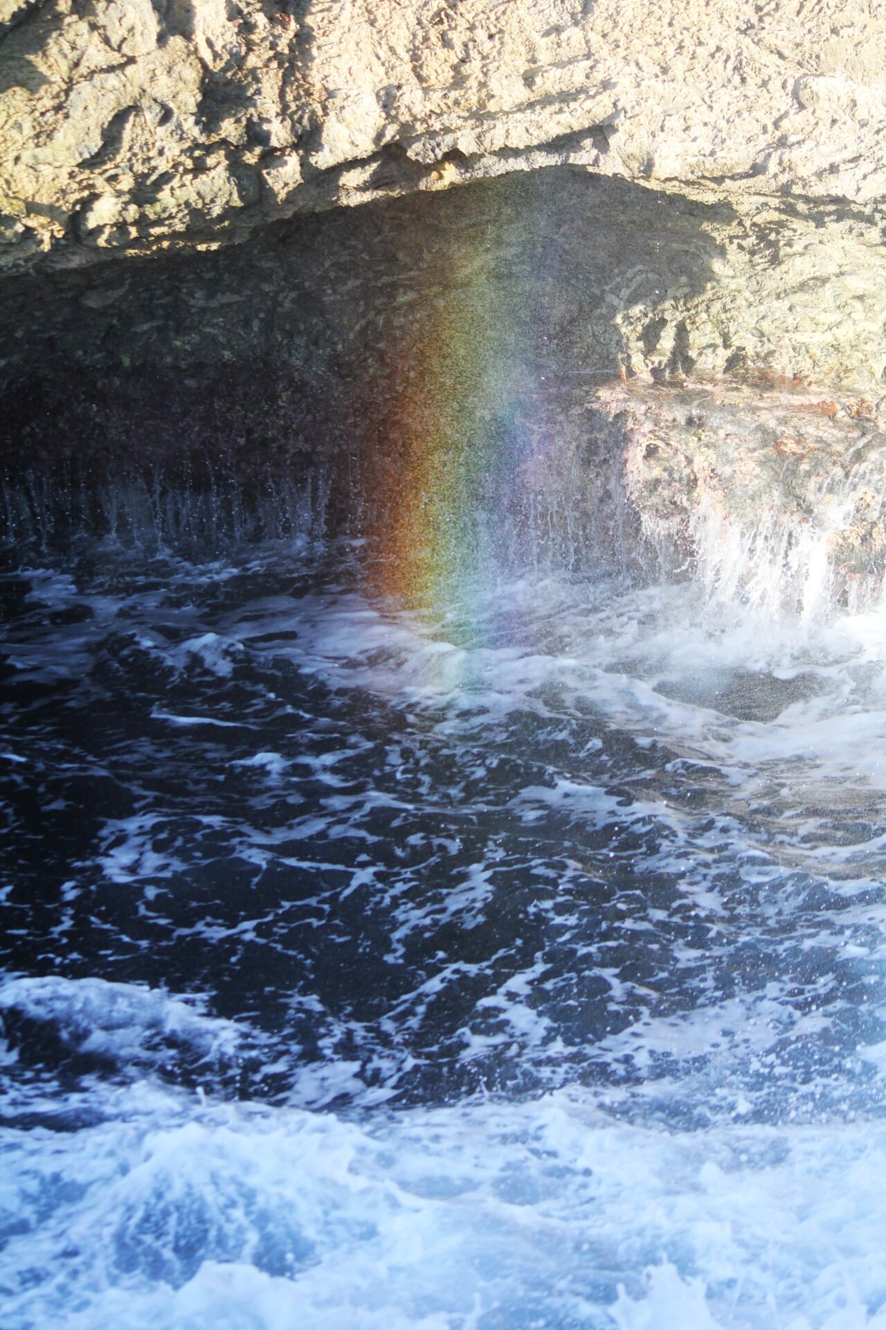 That sudden, joyous turn | Christian Courier