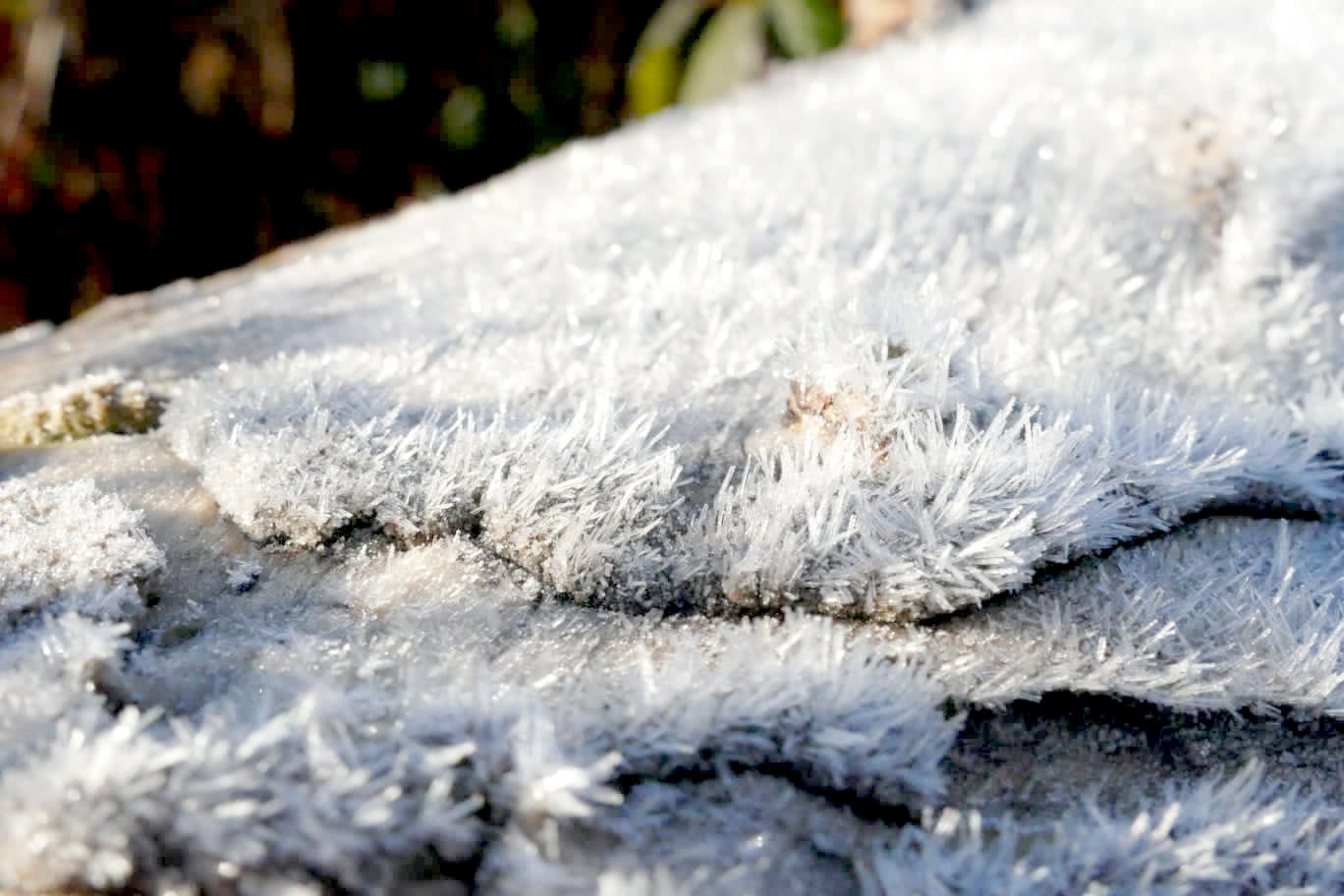 Frost | Christian Courier