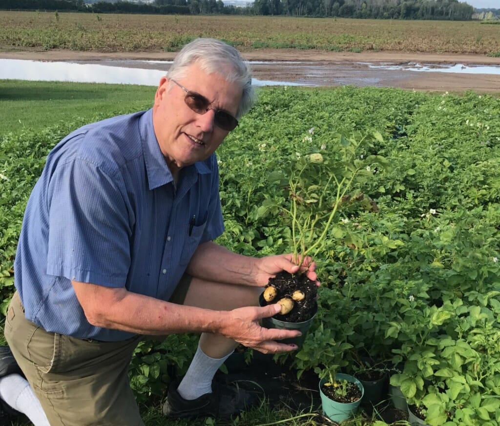 The humble, beloved potato | Christian Courier