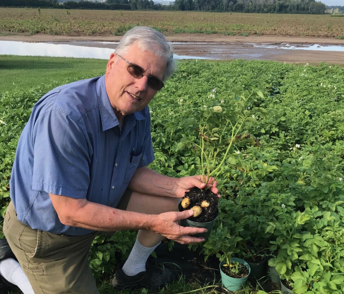 The humble, beloved potato | Christian Courier