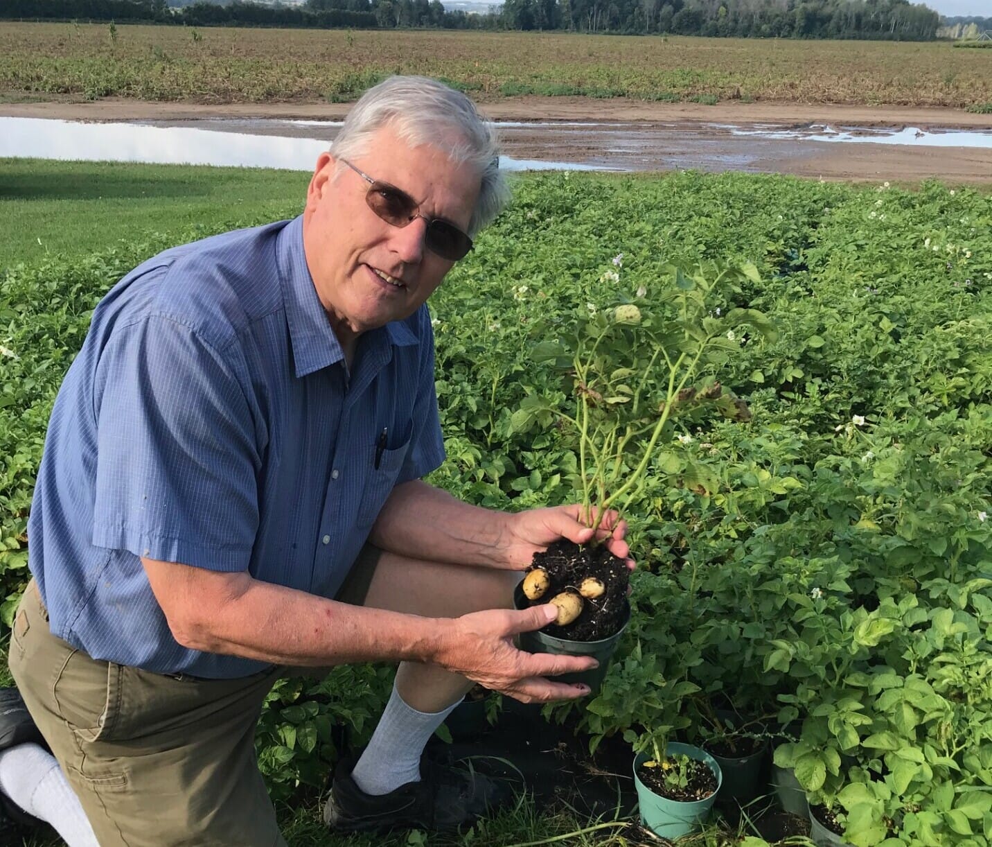 The humble, beloved potato | Christian Courier