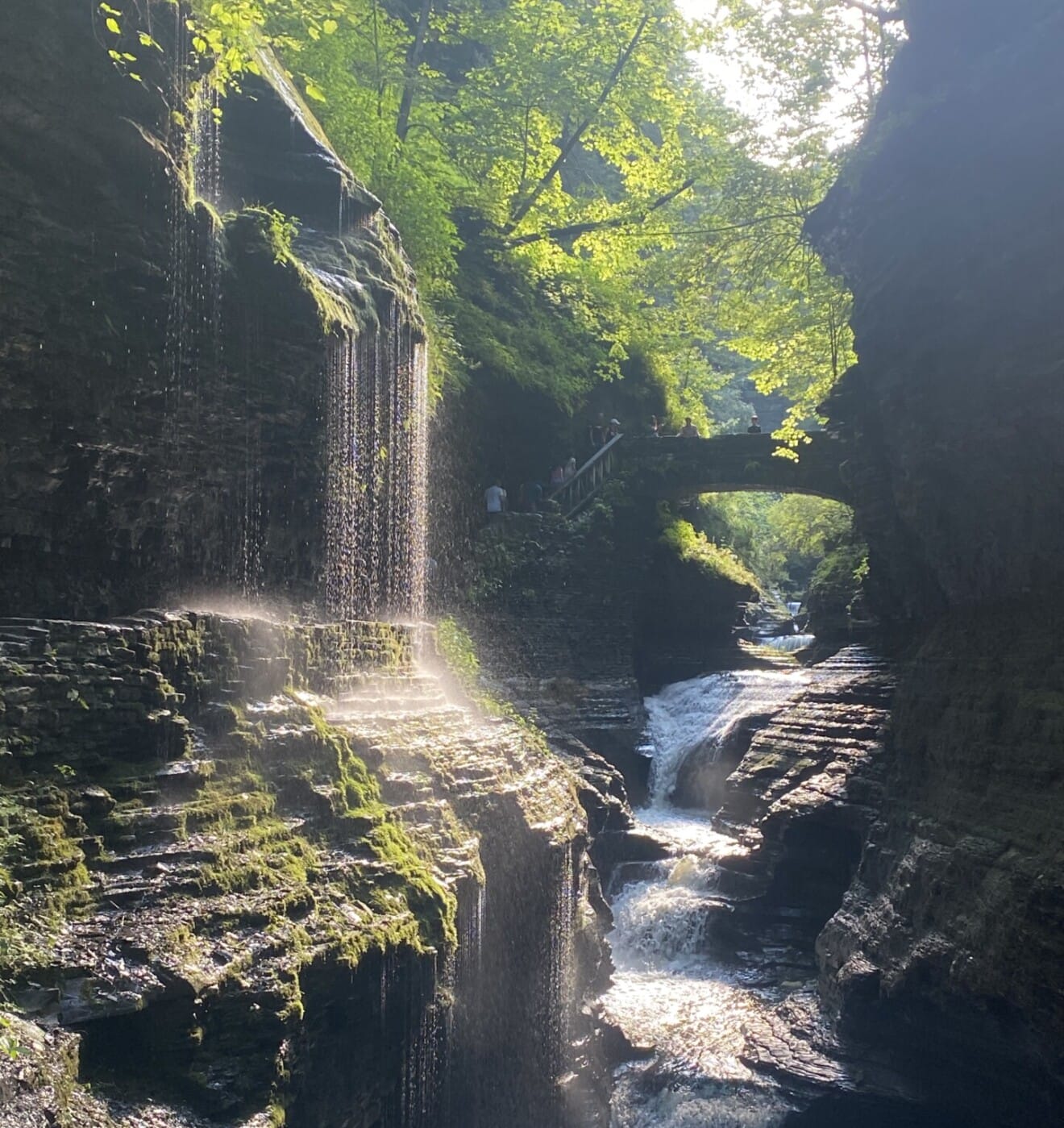 Whales and waterfalls | Christian Courier