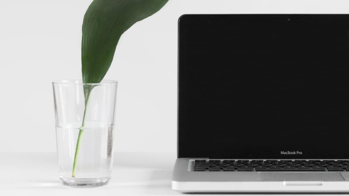 Psalm 8 Includes Computers | Christian Courier